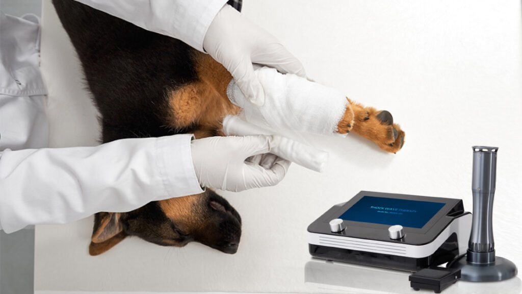 Shockwave Therapy for Torn Ligaments in Dogs — shockwavemachines ️